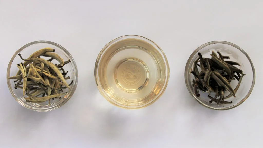 Learn about white tea - Tea Narrative